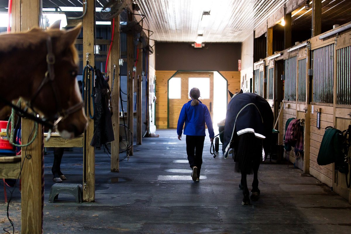 Facilities – Sonny Brooke Stables